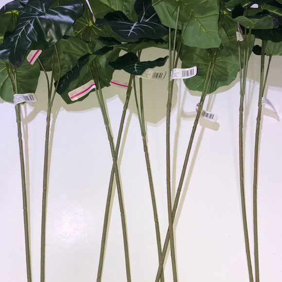 Accents | Monstera Stems Greenery Long Greenery Floral Stems Elephant ...